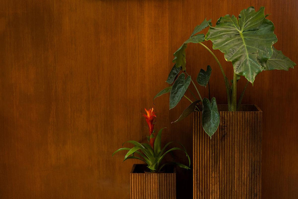 Ribble Mango Wood Plant Stand (2/Set)